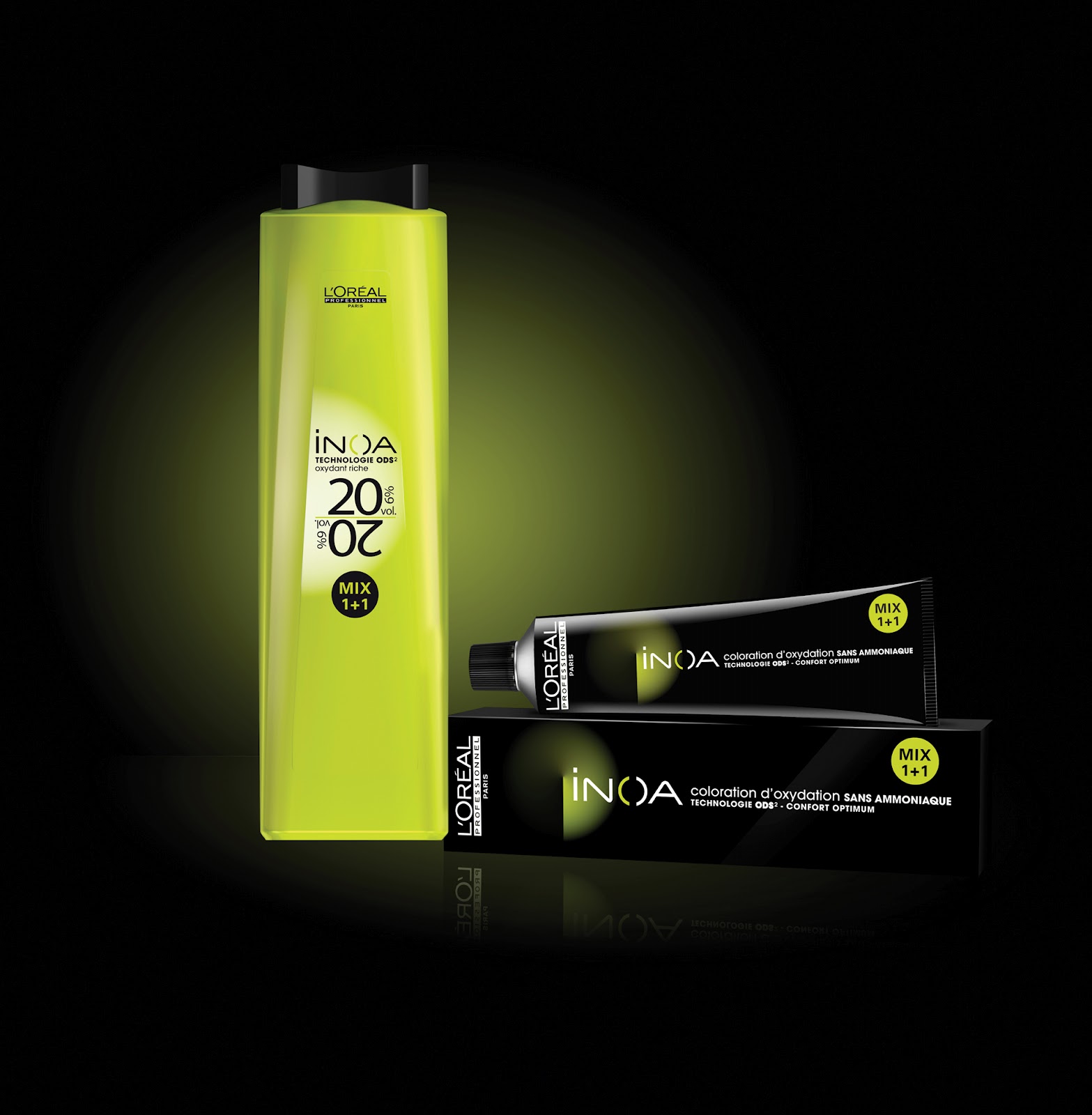 Fashion Blog: BEAUTY: L'OREAL INOA COLOR CARE