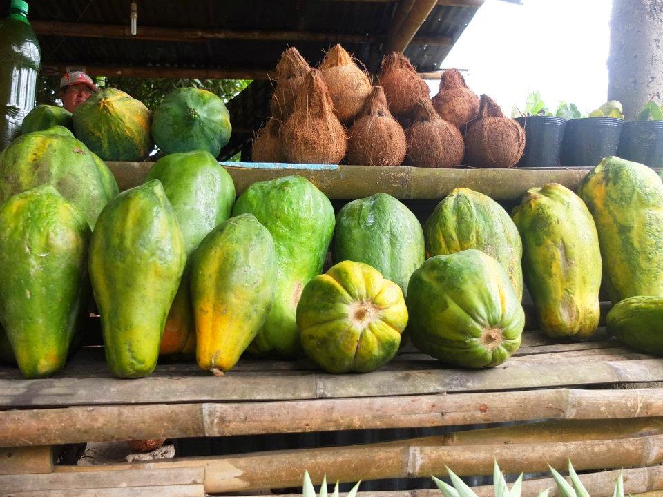 A quick stop-over at our friends' lovely hide-away with our balikbayan ...