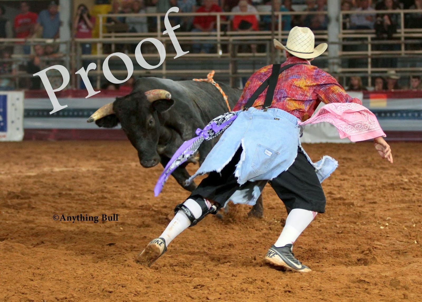Anything Bull or Rusty: Chuck Swisher-2nd steer Friday night