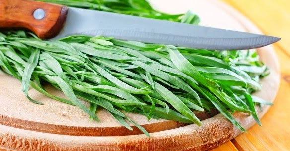 Hasznos cikkek és receptek: FANTASZTIKUS, MIRE JÓ A TÁRKONY! VALÓDI ...