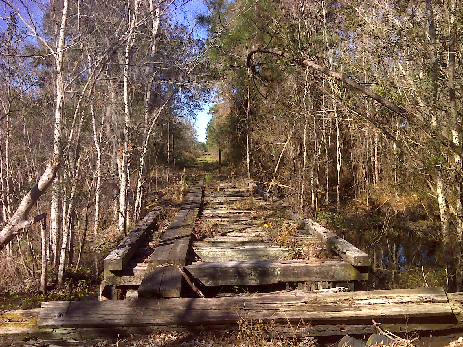 Heart and Sole: Rail Trail and Road Walk to Keystone Heights