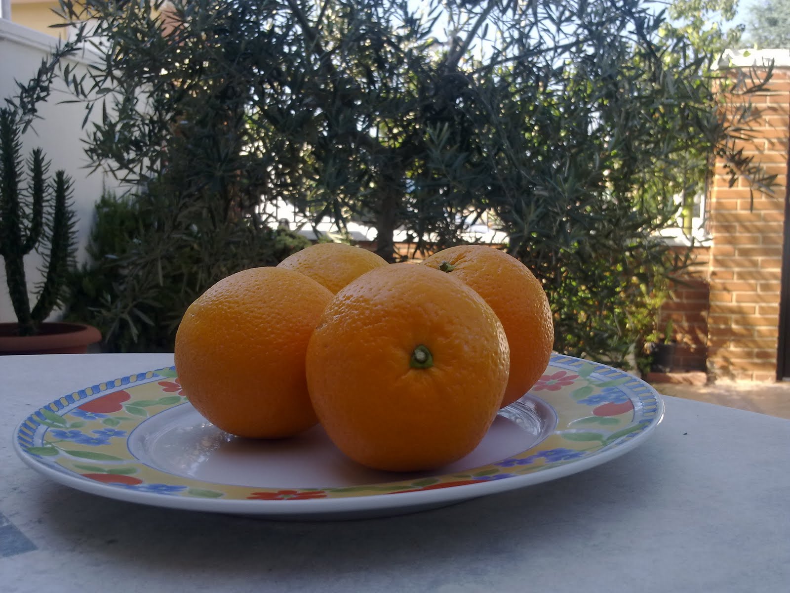 Quiero comprar naranjas: Propiedades de las naranjas