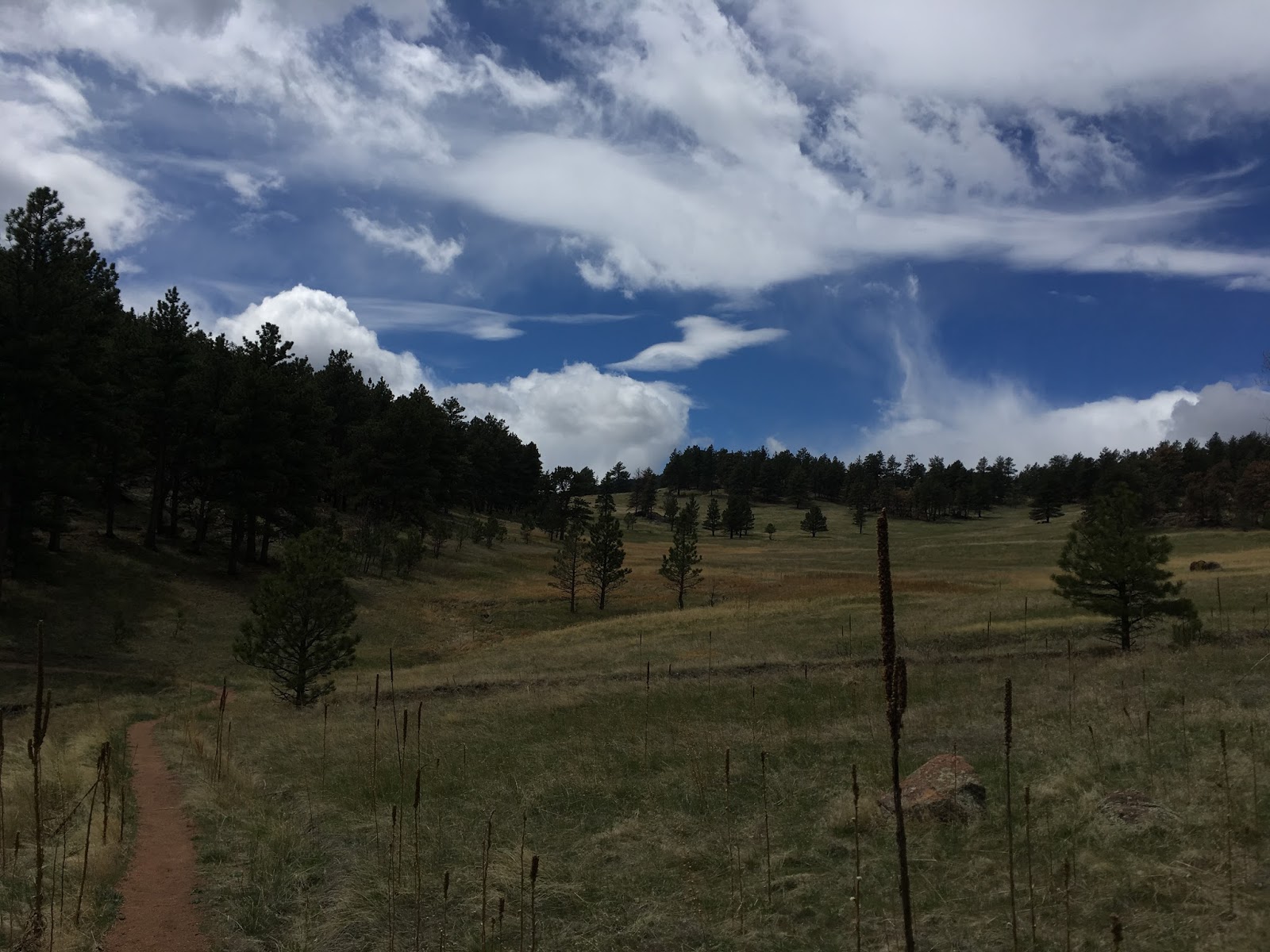 Hiking Rocky Mountain National Park: Button Rock Mountain via Hall Ranch.