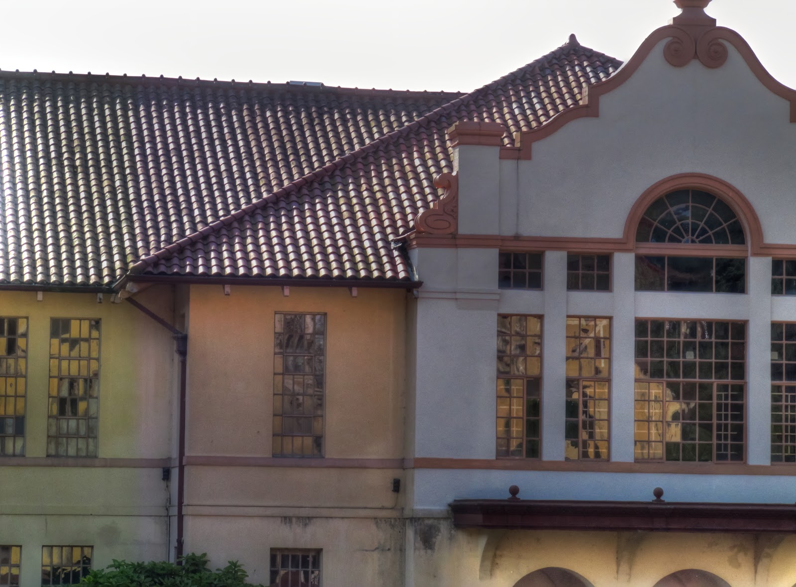 This Life in Ruins: Northern State Hospital Grounds