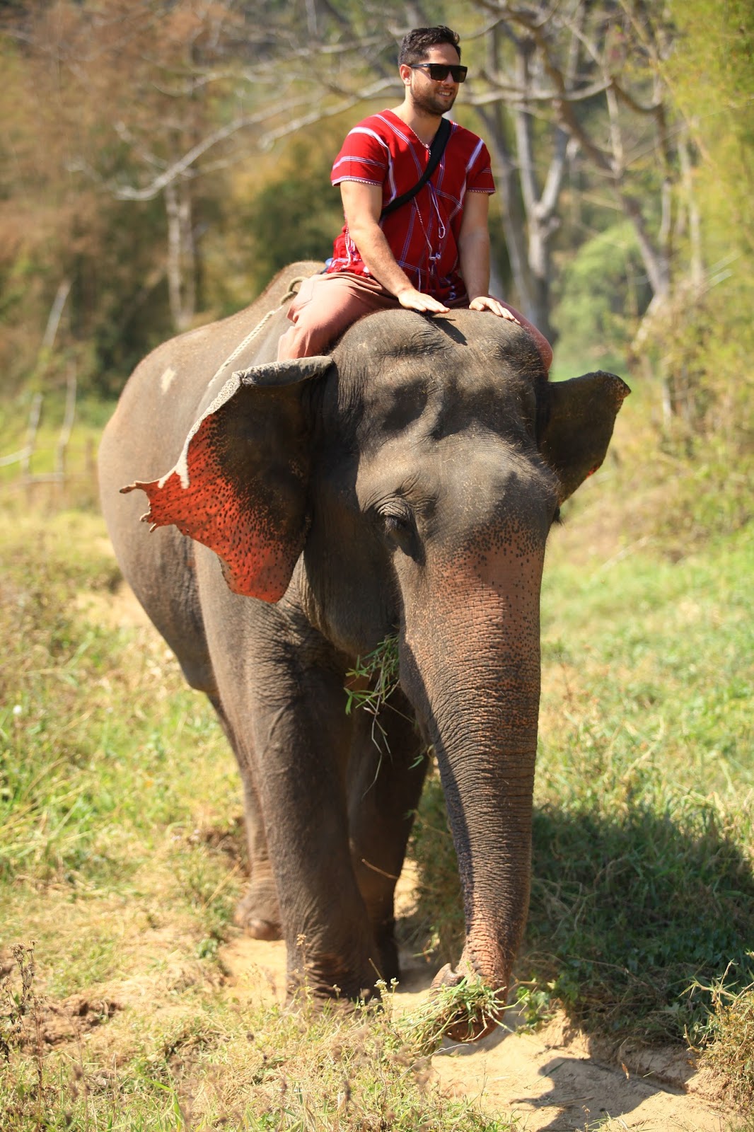 Jessie & Jake: Honeymoon Thailand: Patara Elephant Farm