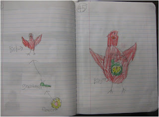 Sweet Teach: Science Notebooking: Animal Adaptations