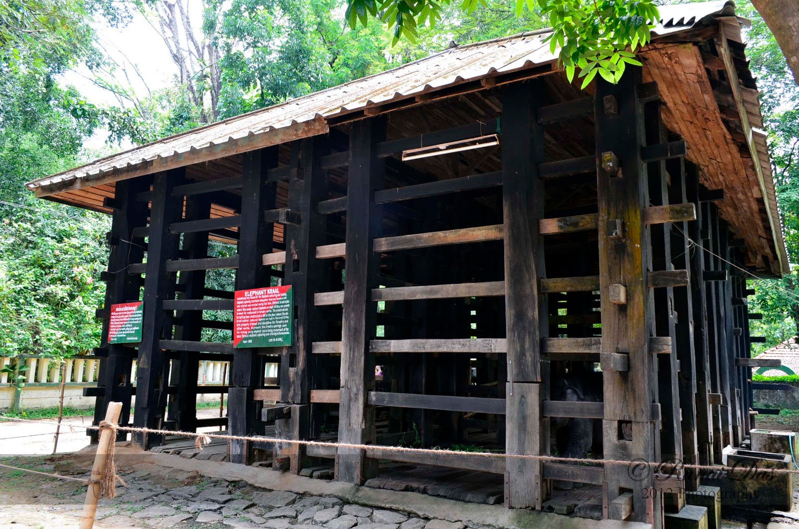 All about my travel experiences: Trip to Chirangara