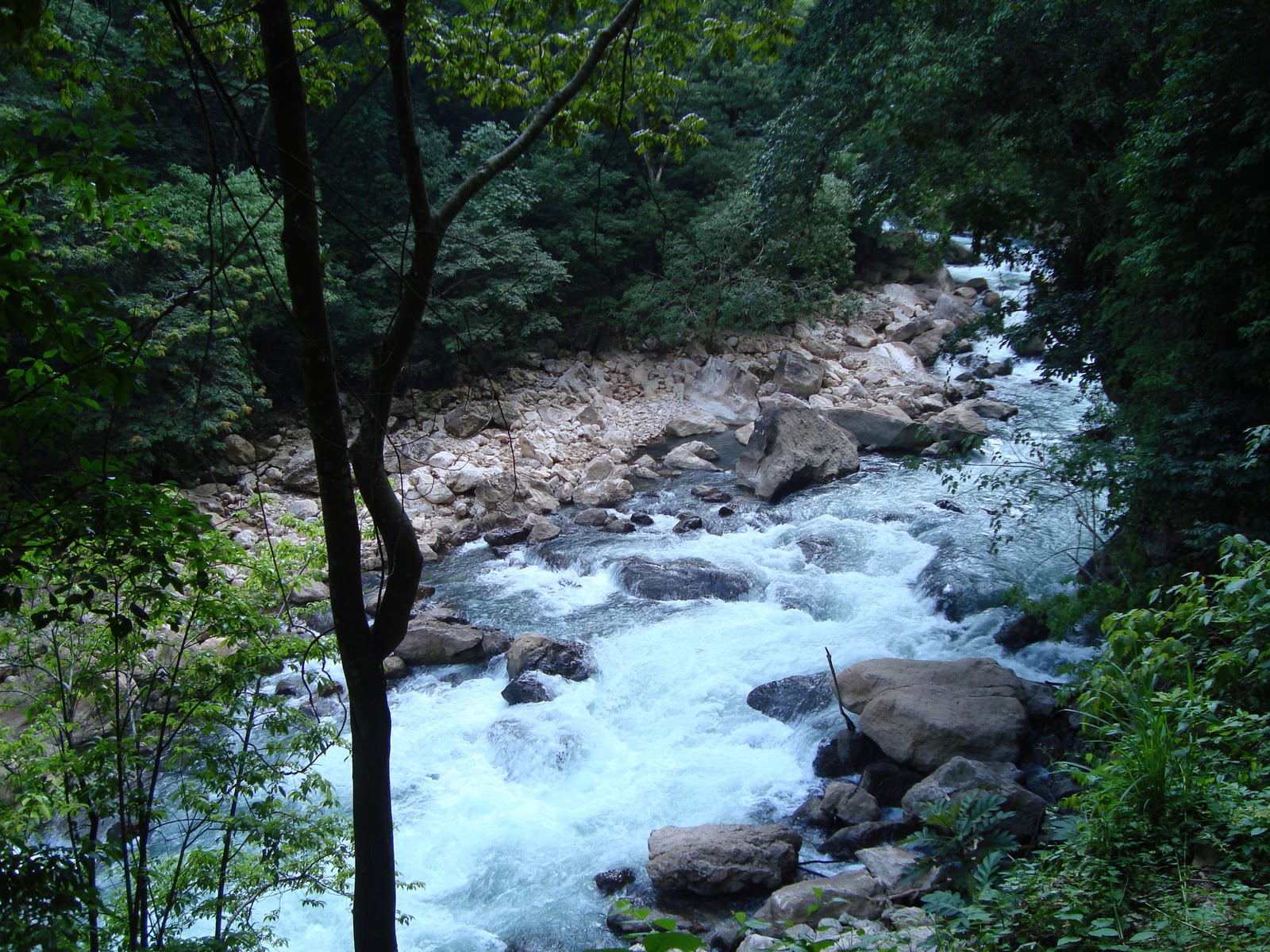 Yuri el viajero: Cascada de Atoyac
