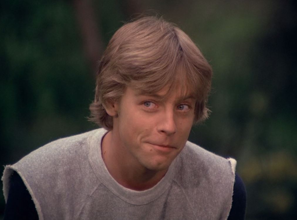 EIGHT IS ENOUGH - Ocho es Suficiente (1977-1981)