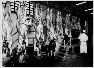 Cuento de Esteban Echevarría: El matadero