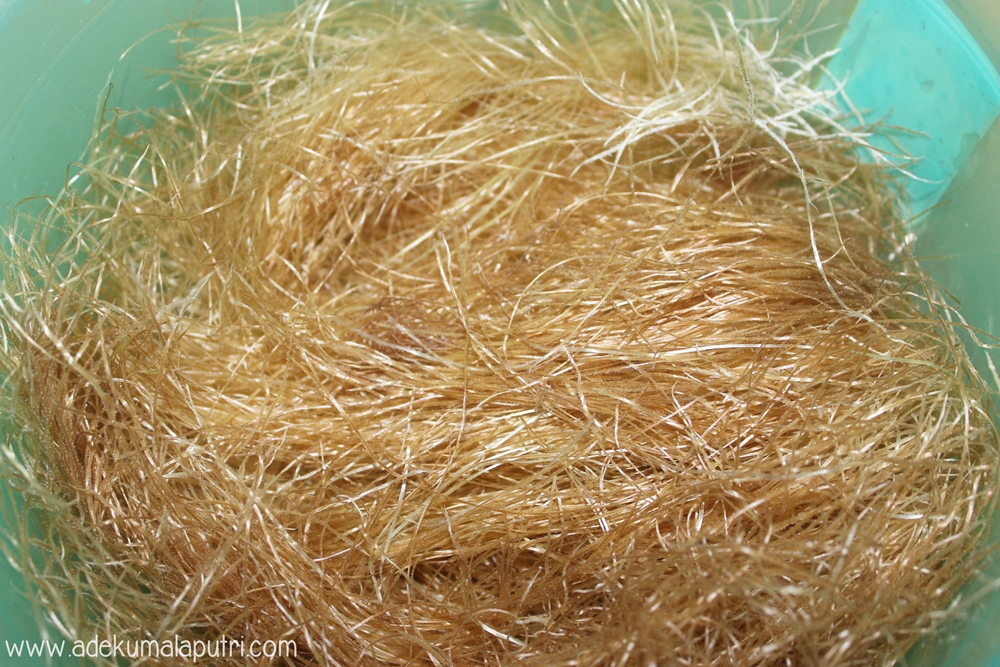 Lala's Wonderland ♥ | Beauty Blogger Indonesia: Recipe: Corn Silk Tea ...