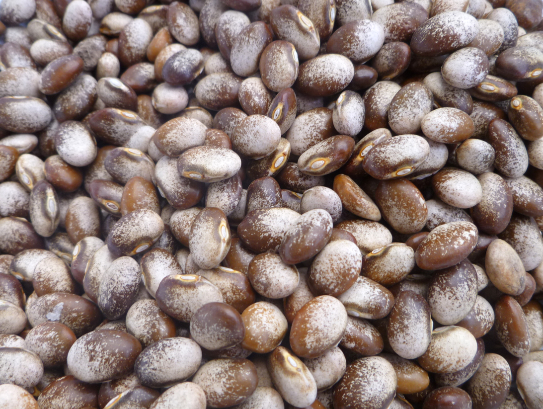 Fairmount Neighborhood Farmers Market: Turkey Craw Tacos with Chard and ...