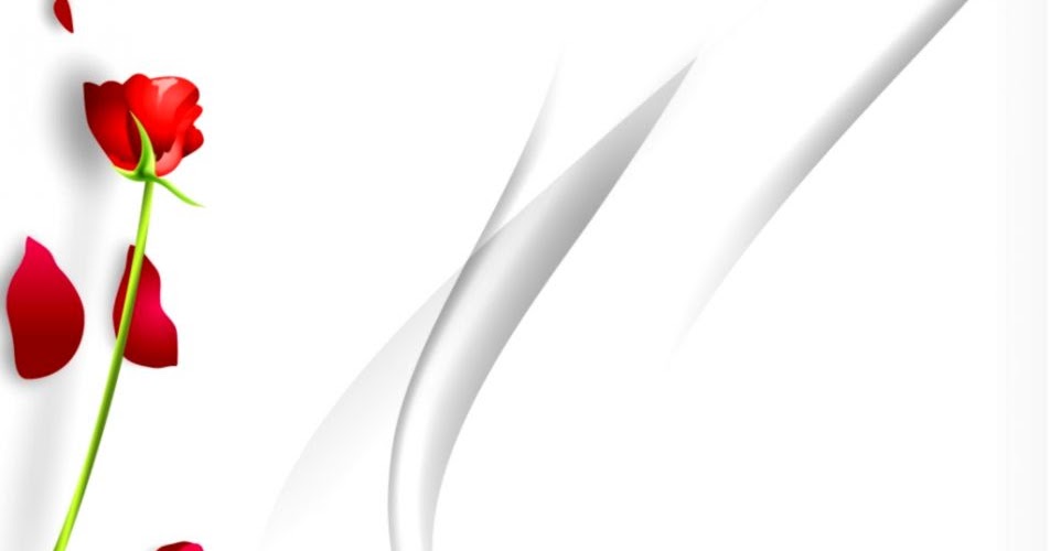 White Rose Powerpoint Background | Wallpapers Quality