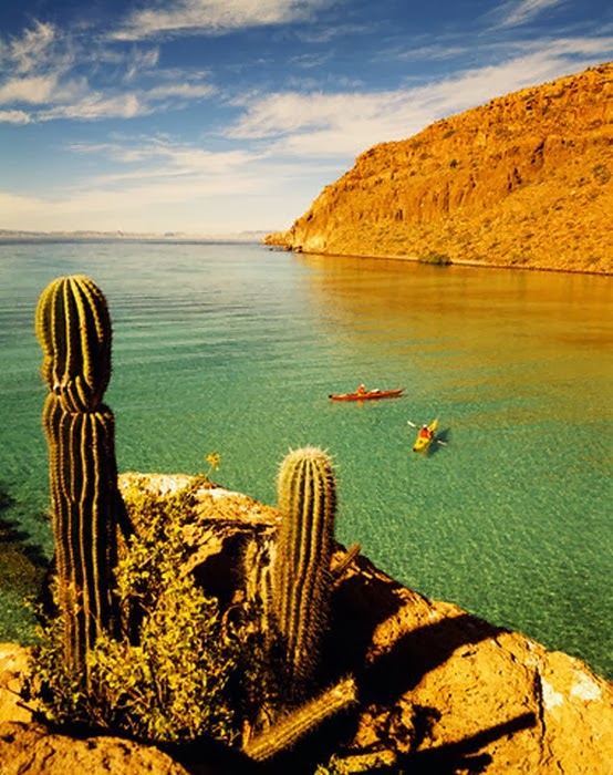 amores indigenas: los pai-pai