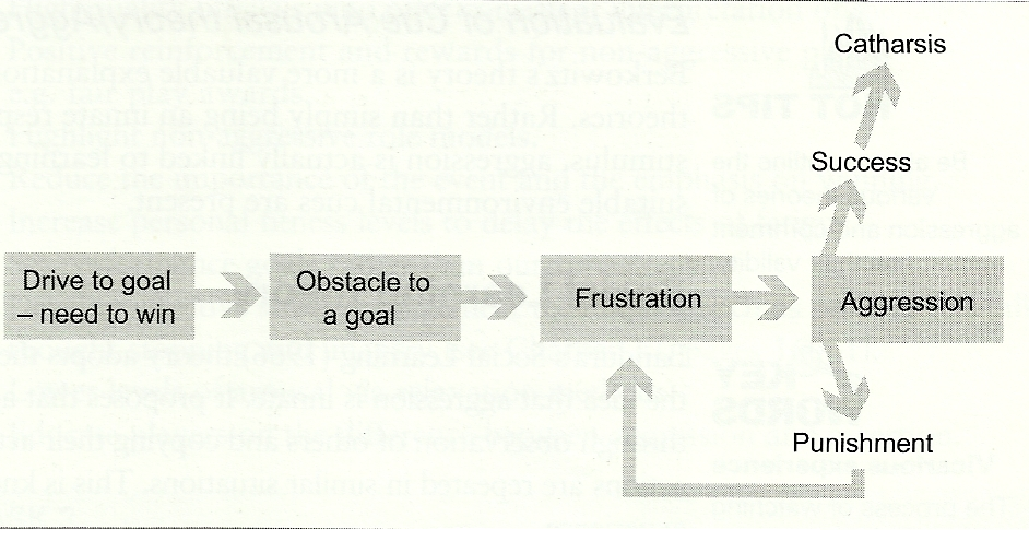 Aggression in the Sporting Environment: Instinct and Frustration ...