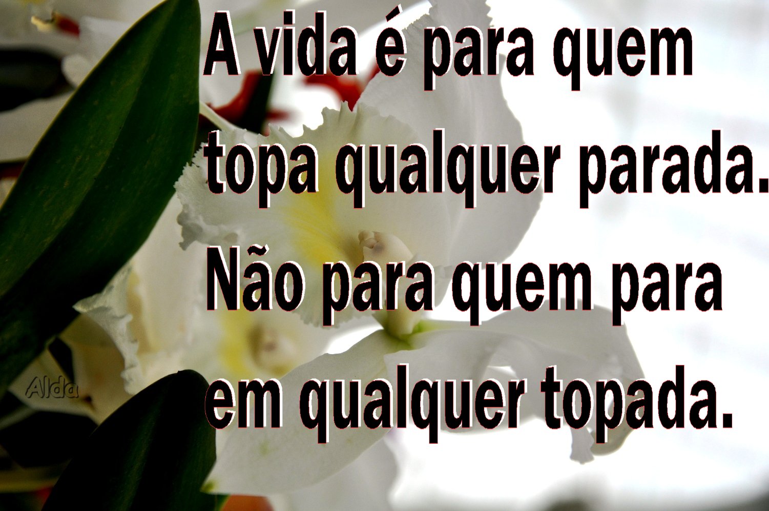 Frases De Auto Estima E Motivação