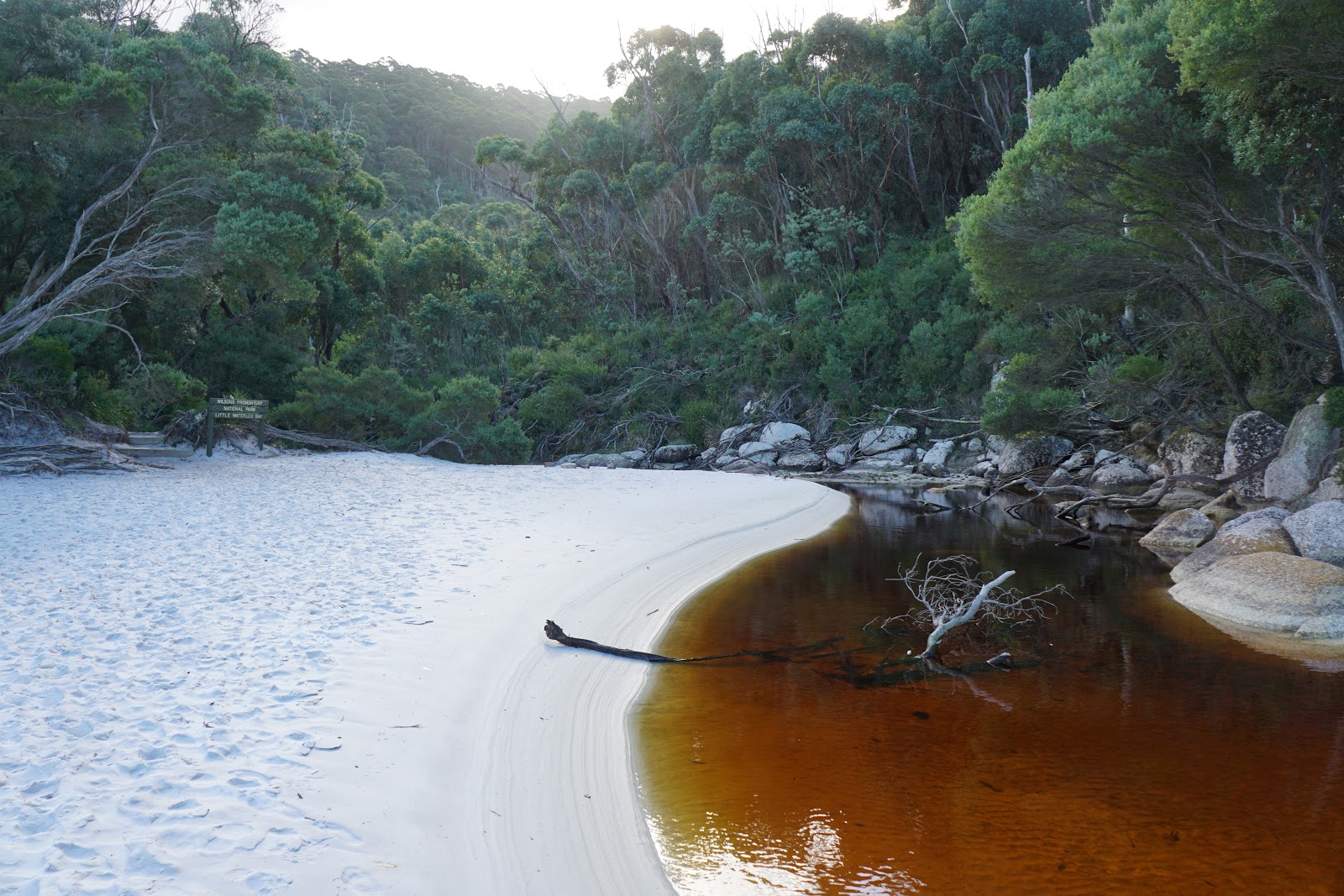 Wilsons Promontory Southern Circuit (VIC) - Sealers Cove to Little ...