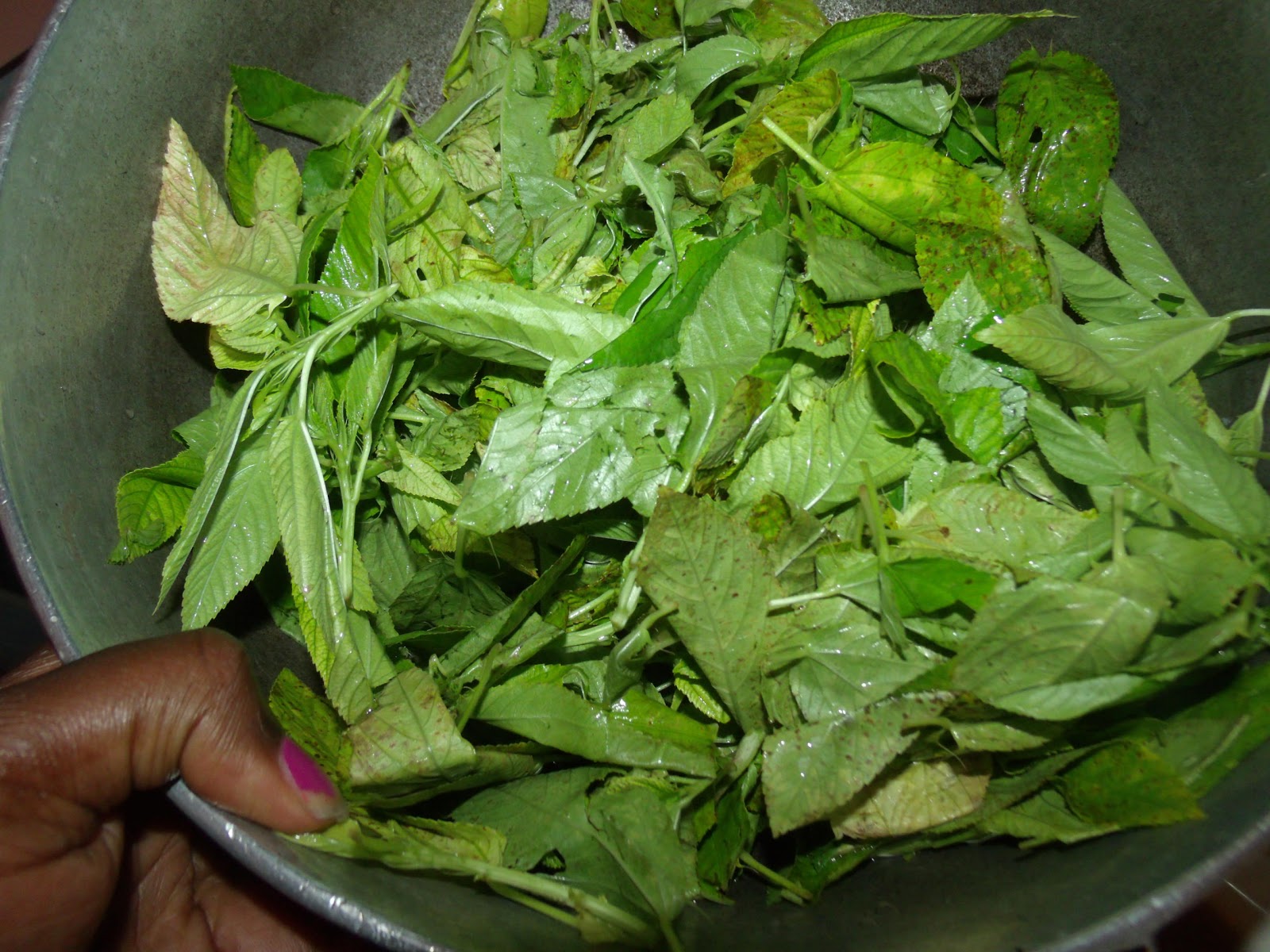 Haitian Recipes Lalo | Bryont Rugs and Livings