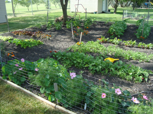 Thread Head: Machine Quilting