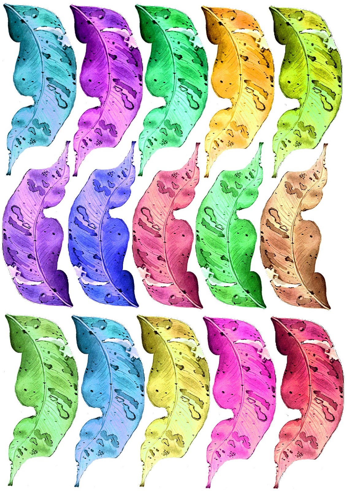 MIXED MEDIA SCRATCH ART - Frogs