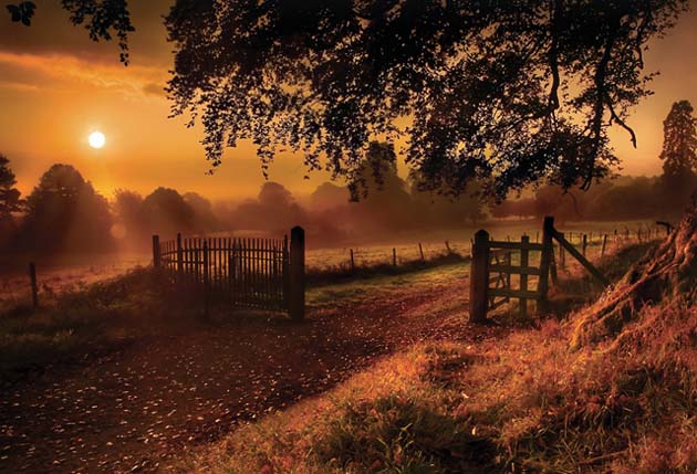 Lovely and Beautiful Good Morning Wallpapers - Duul Wallpaper