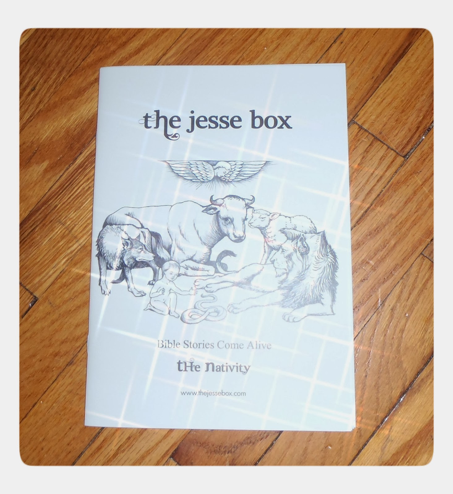 Someday I'll Sleep Autism Blogs: The Jesse Box