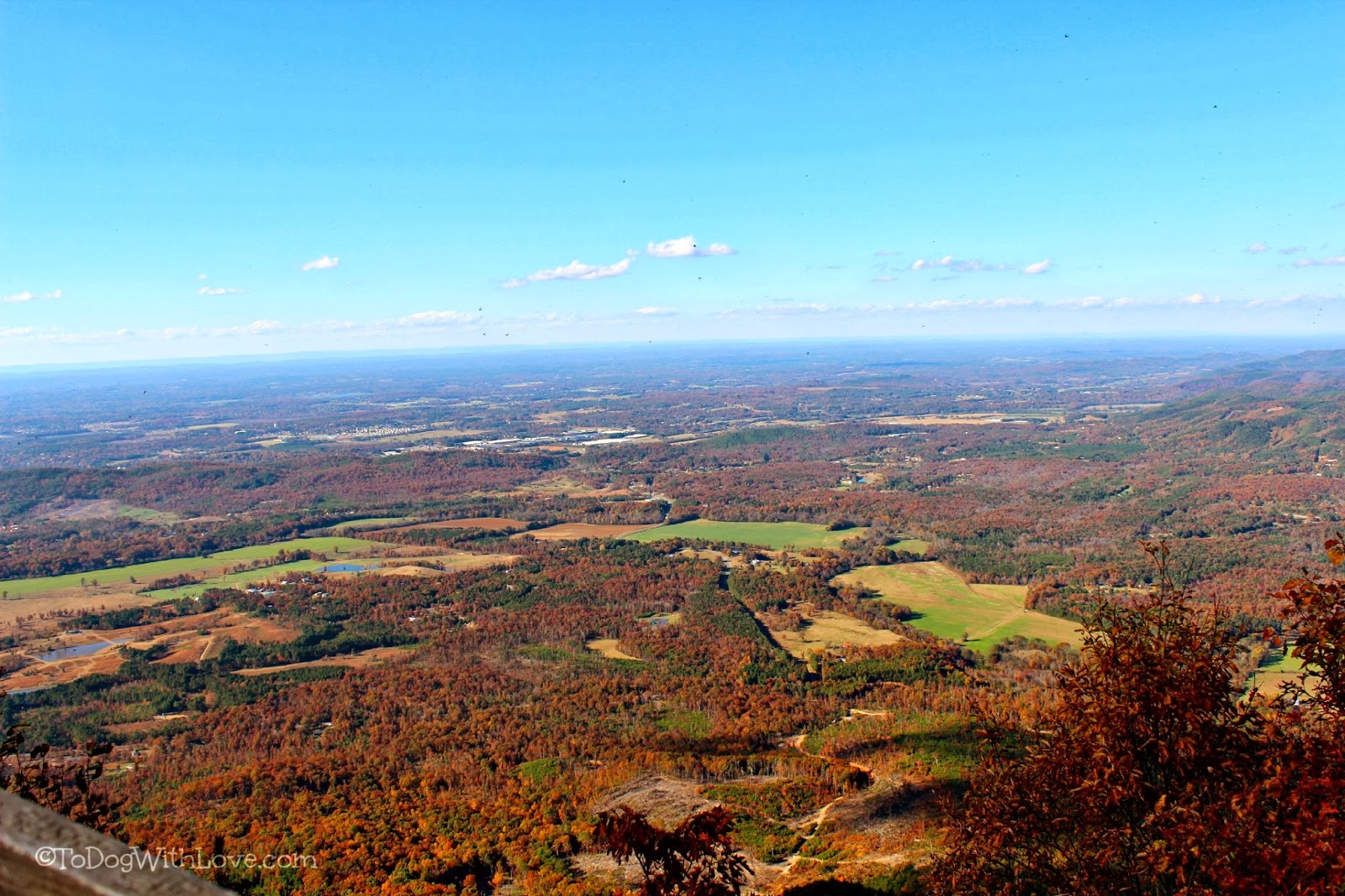 To Dog With Love: Hiking Fort Mountain with Dogs