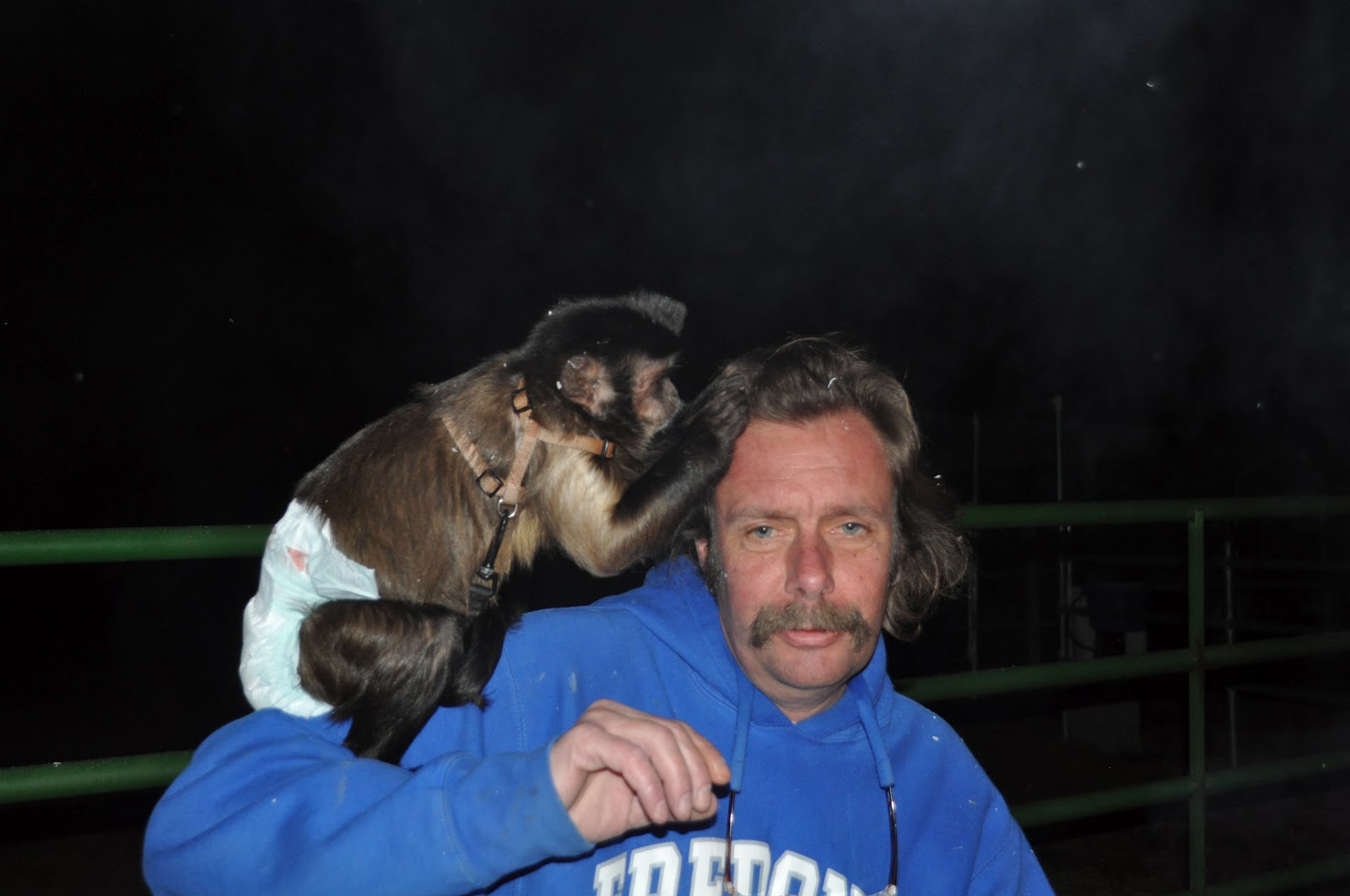 FlyingWG: Fireplace Transformation & A Monkey