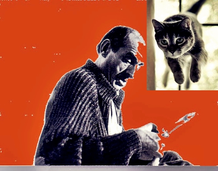 Nosotras que escribimos/ Mulleres que escribimos: EL MALHECHOR ATRAPADO