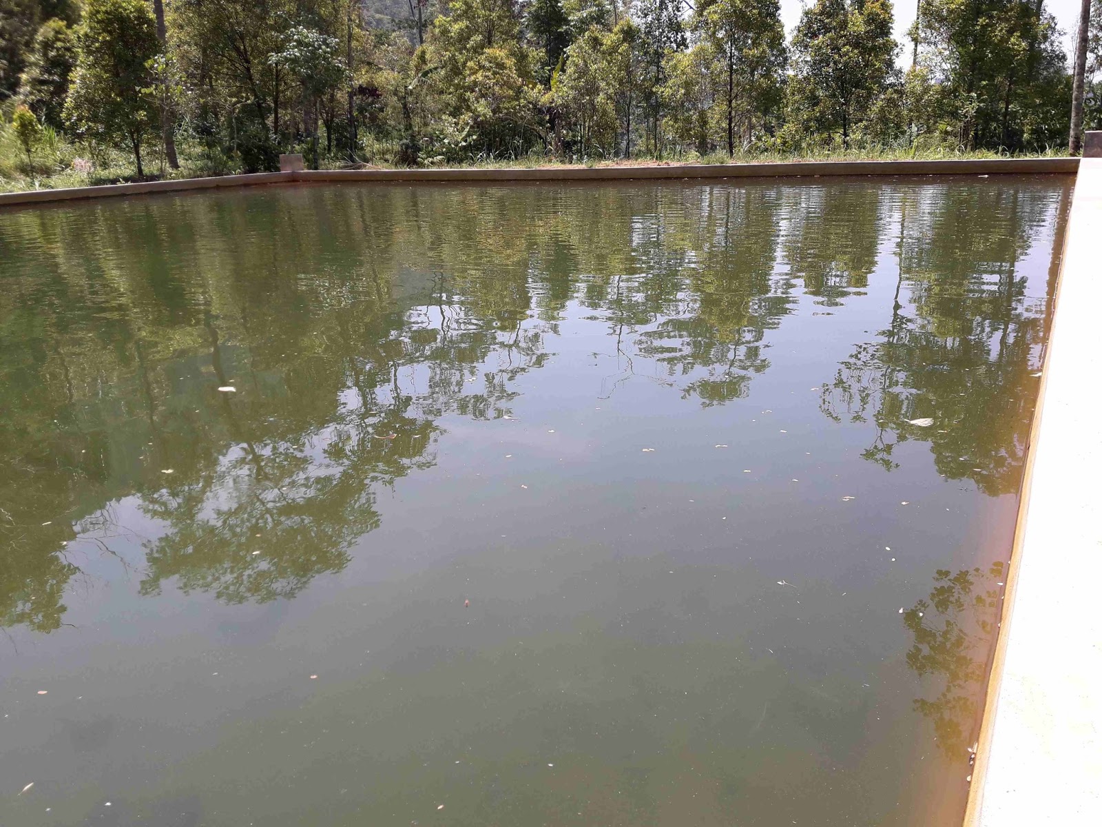 ONE DAY TRIP SALATIGA : Desa Wisata Sepakung dan Pesonanya