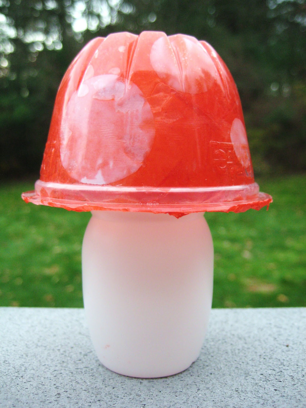 4 Crazy Kings: Recycled Toadstool Craft