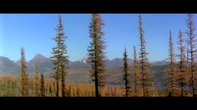 CINEMA DELIRIUM: Winterhawk [1975]