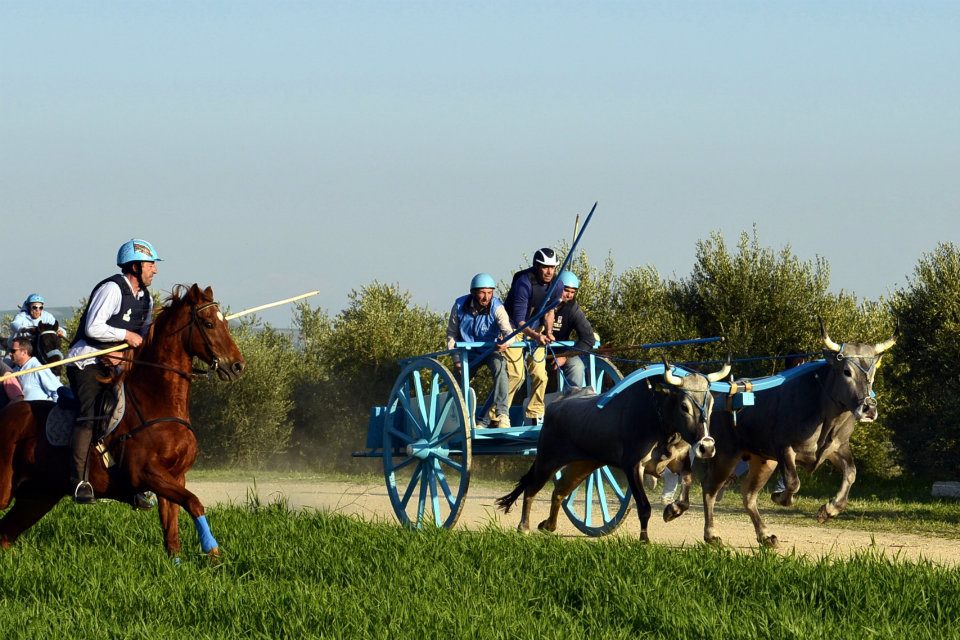 LA CORSA DEI CARRI: I Giovani vincono la carrese di Ururi 2012