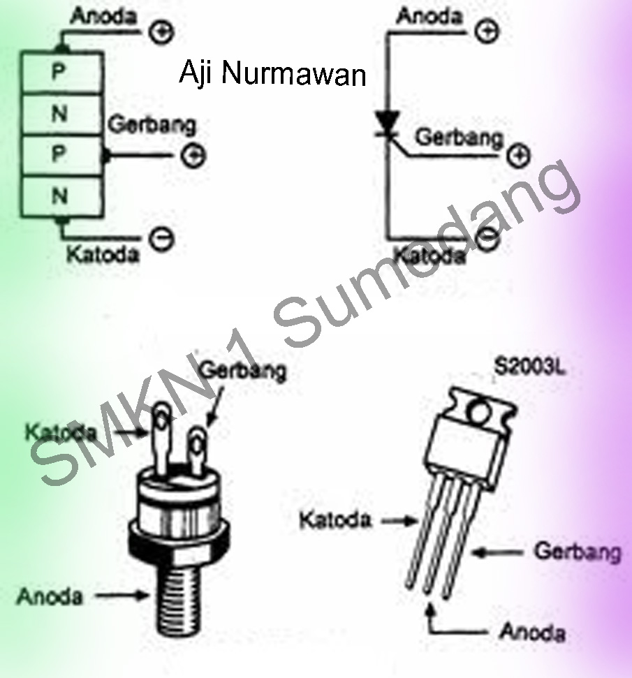 Dunia Ilmu Pengetahuan: Pengertian dan Fungsi SCR