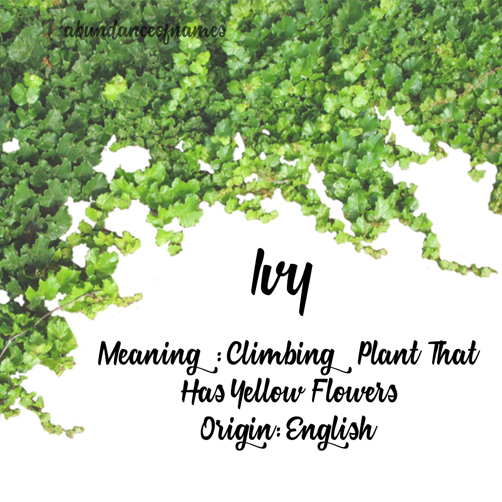 Ren s Baby Name Blog Names Of The Week Seth And Ivy ren-s-baby-name-blog-names-of-the-week-seth-and-ivy