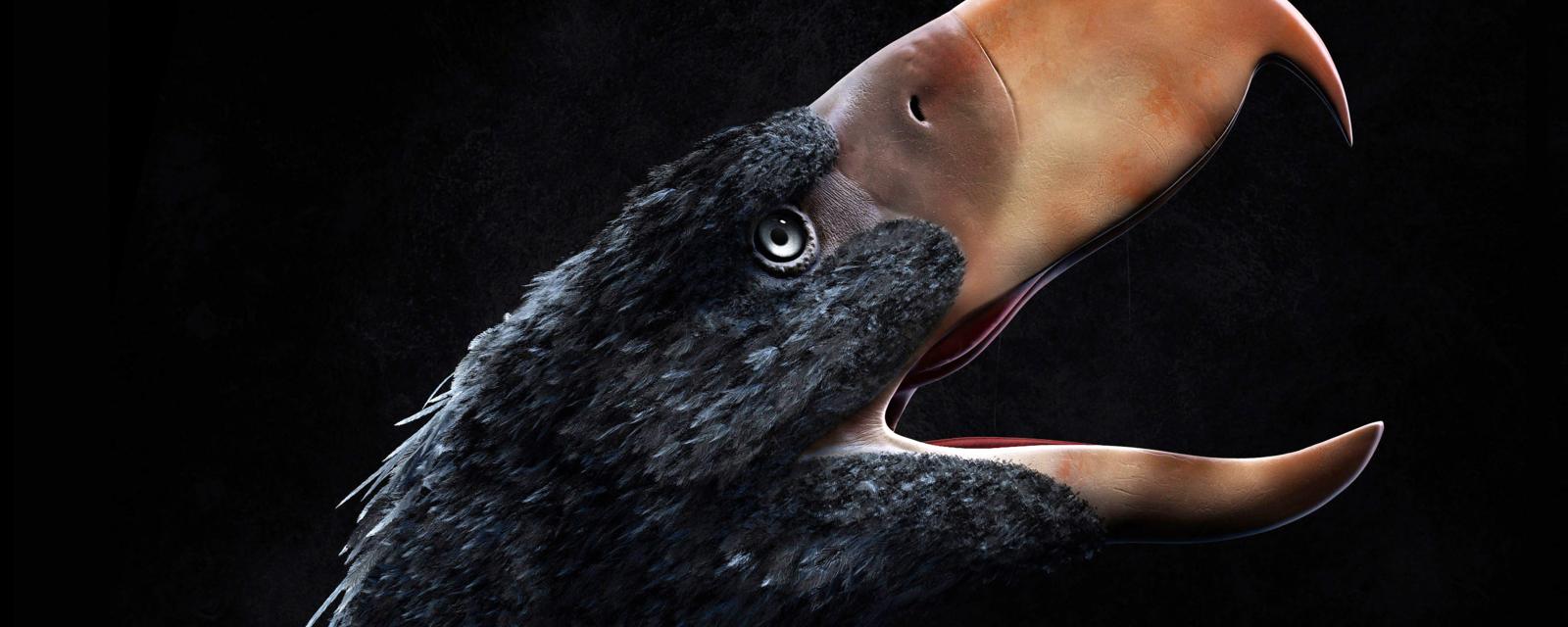 Til the Last Hemlock Dies: REIGN OF THE TERROR BIRDS!