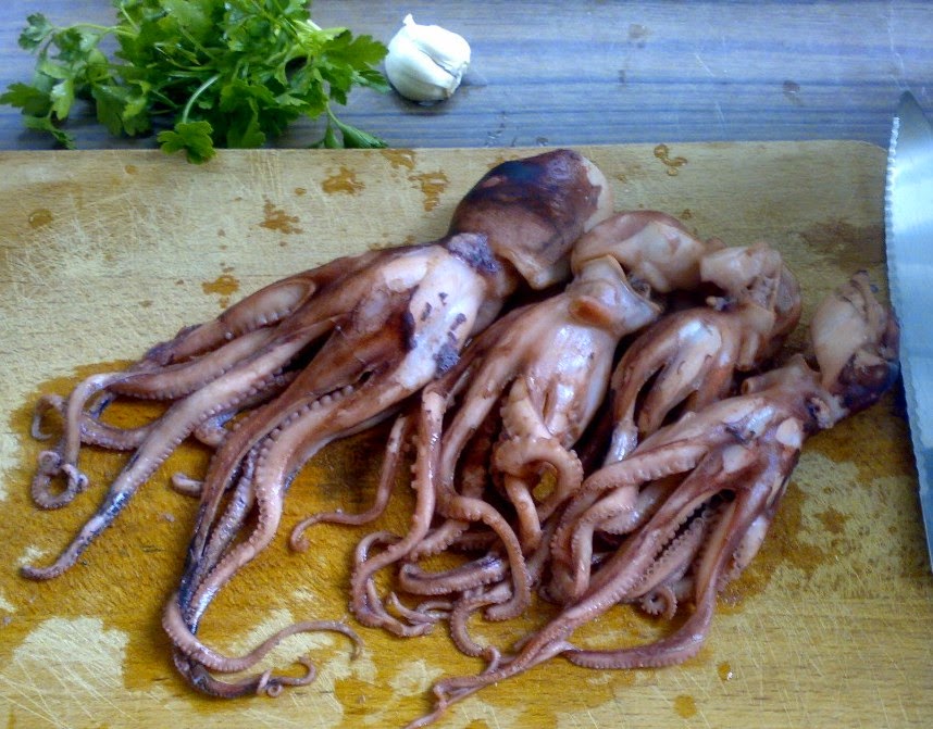 AmicoMario: MOSCARDINI, CHE PASSIONE! UNA PRELIBATEZZA DEL NOSTRO MARE ...