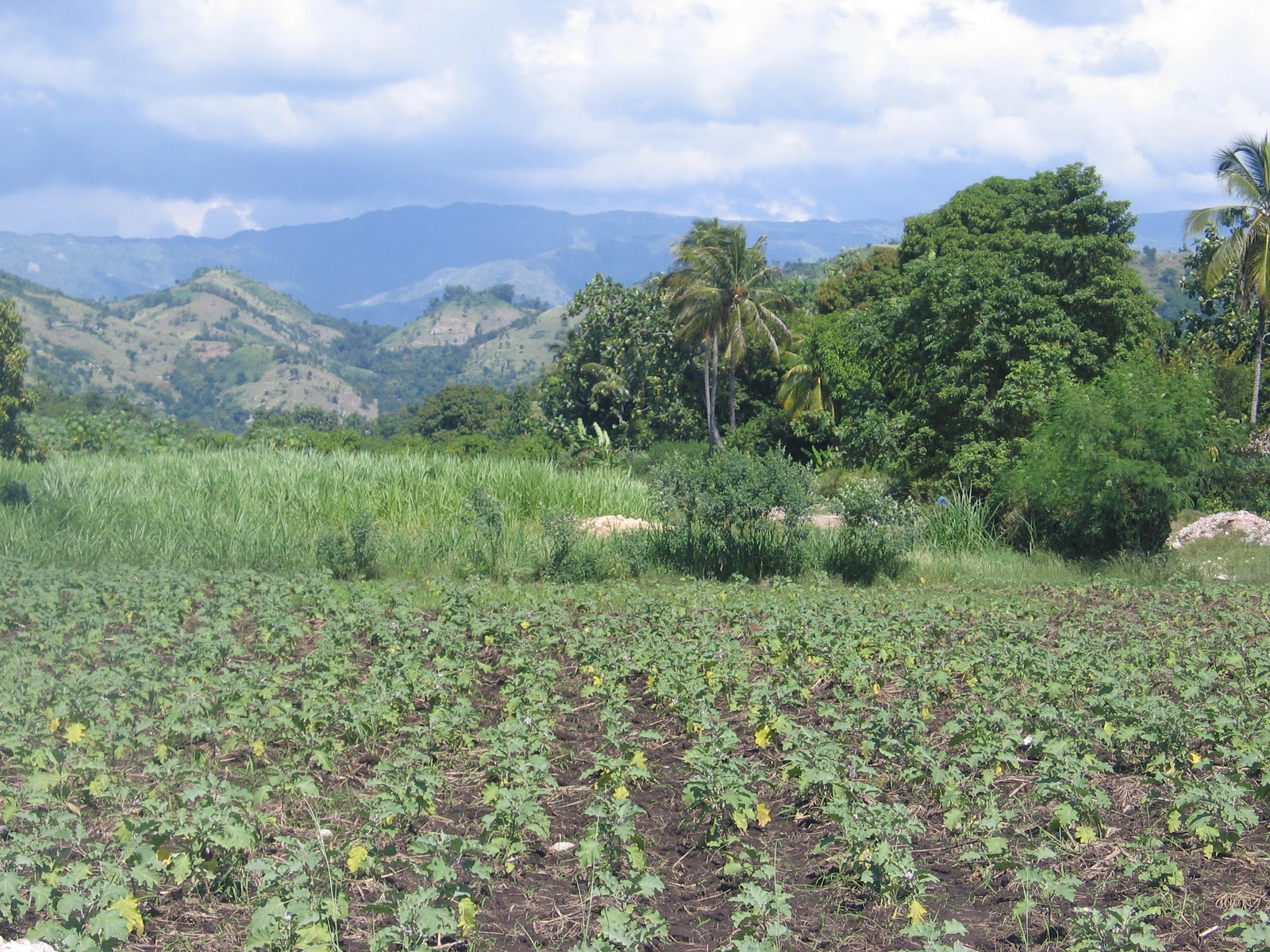 Vivre en Haïti au quotidien: Promenade vers Camp Perrin, Haiti