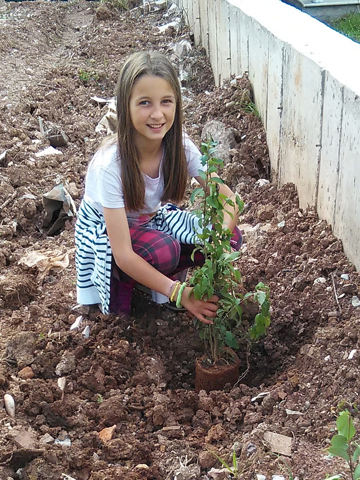 Άγιος Νεκτάριος Κρέντης. Άγραφα | Ευρυτανία | Καρπενήσι: ΔΕΝΔΡΟΦΥΤΕΥΣΗ ...