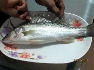 Kosher living and diet For Messianic Believers