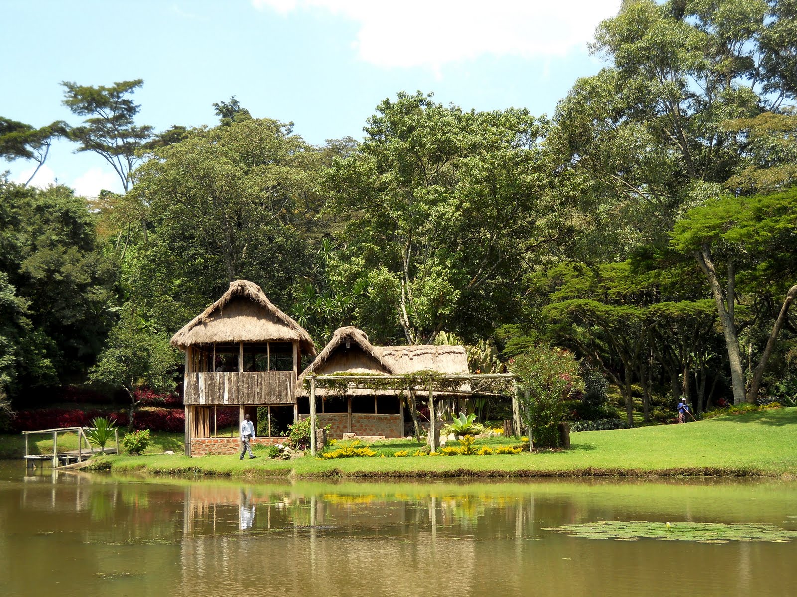 Kenya IUPUI 2011: Nandi Tea Estate & Kapsimotwo Gardens: Nandi Hills, Kenya