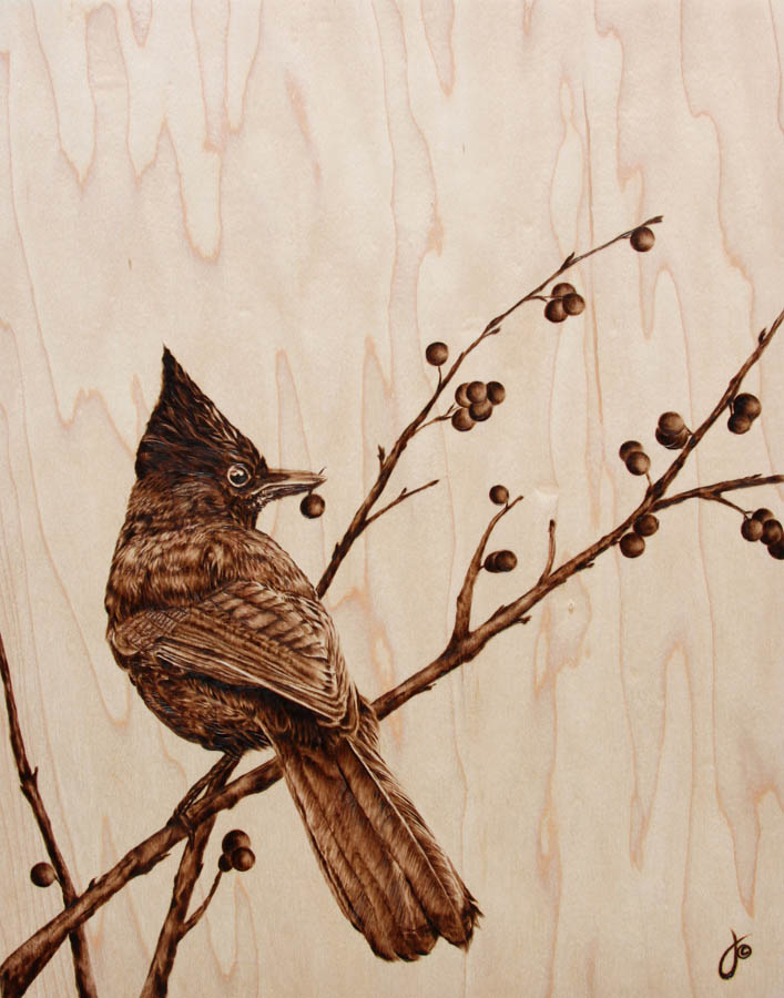 If It's Hip, It's Here (Archives): Burn Wood, Baby, Burn. The ...