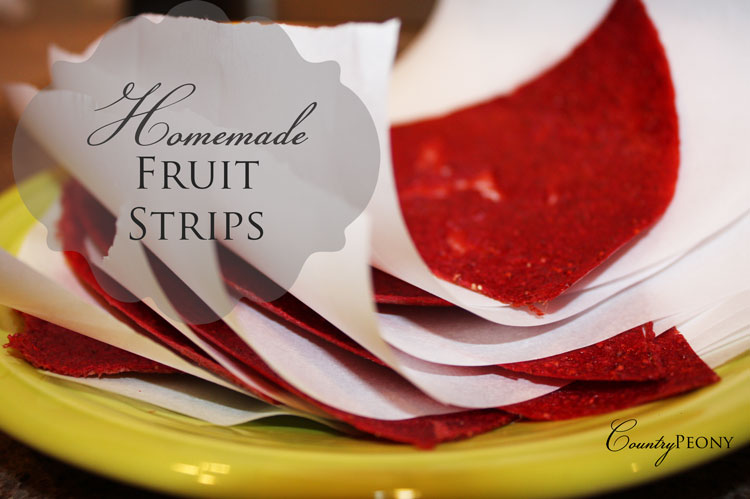 Country Peony: Homemade Fruit Strips