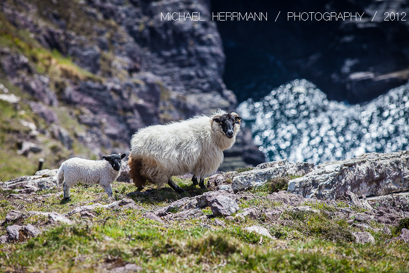 Der Bolus Head Wanderweg