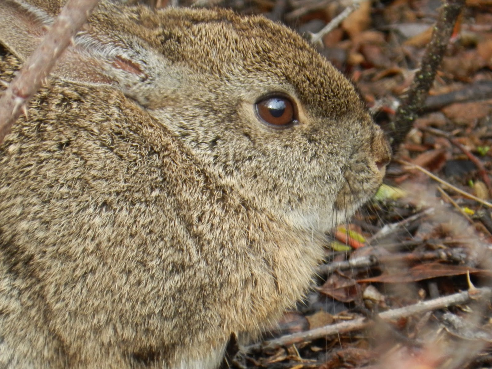 Coffee With Hallelujah: #REVERB12 (Day 31) LAST DAY OF REVERB AND GRATEFUL