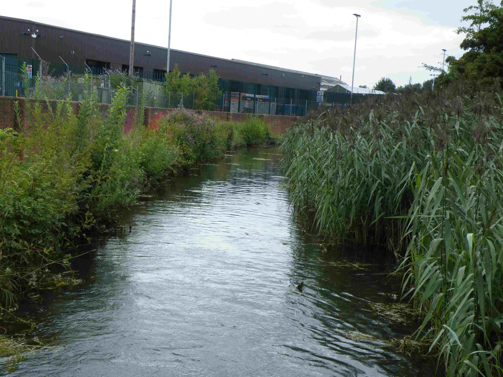 Travelling the Canals of England: Cruising the Nene