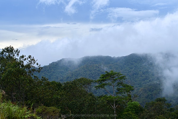 Crocker Range National Park