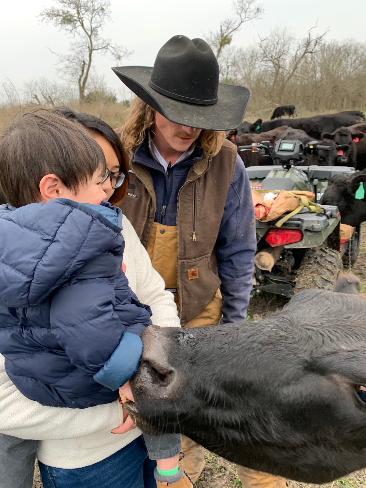 Ranger Cattle Wagyu Beef Ranch Visit