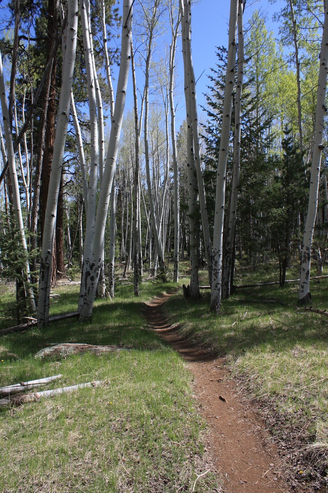 My Two Schillingsworth: AZT: Bismark Lake to Moqui Stage Station