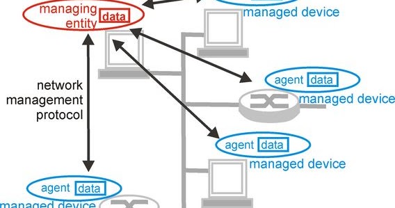 Computer Network Management | Cysco System